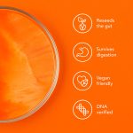 Gutsi | The future of gut health